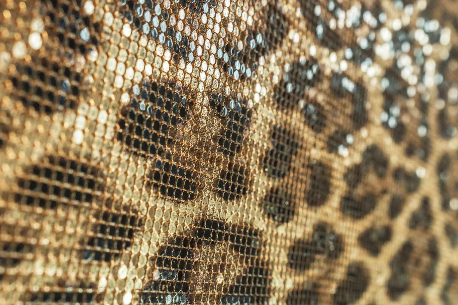 Sublimation – Kokolo